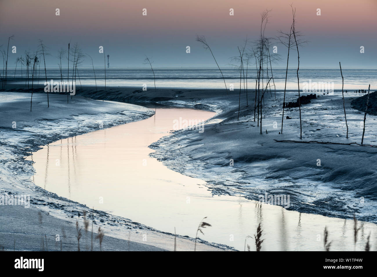Tidal pool in the Wattenmeer National Park at dusk, German North Sea ...