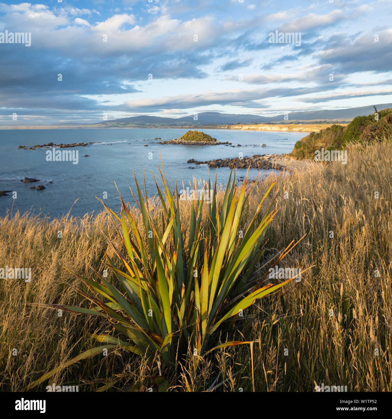 Te Waewae Bay, Southland, South Island, New Zealand, Oceania Stock ...
