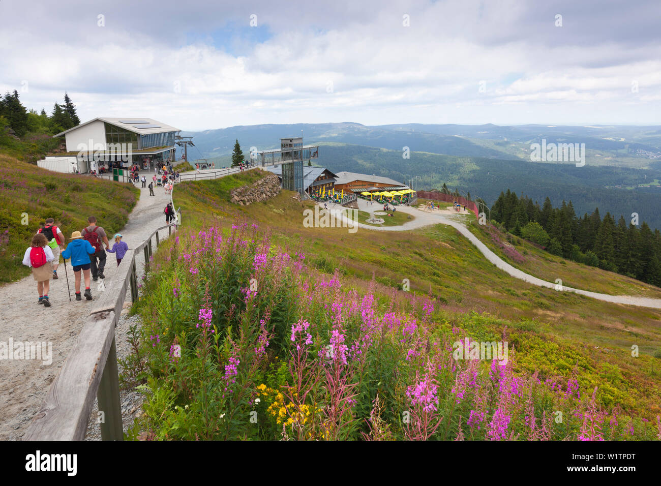 Hiker at the path to the upper station of the Arber cable car ...