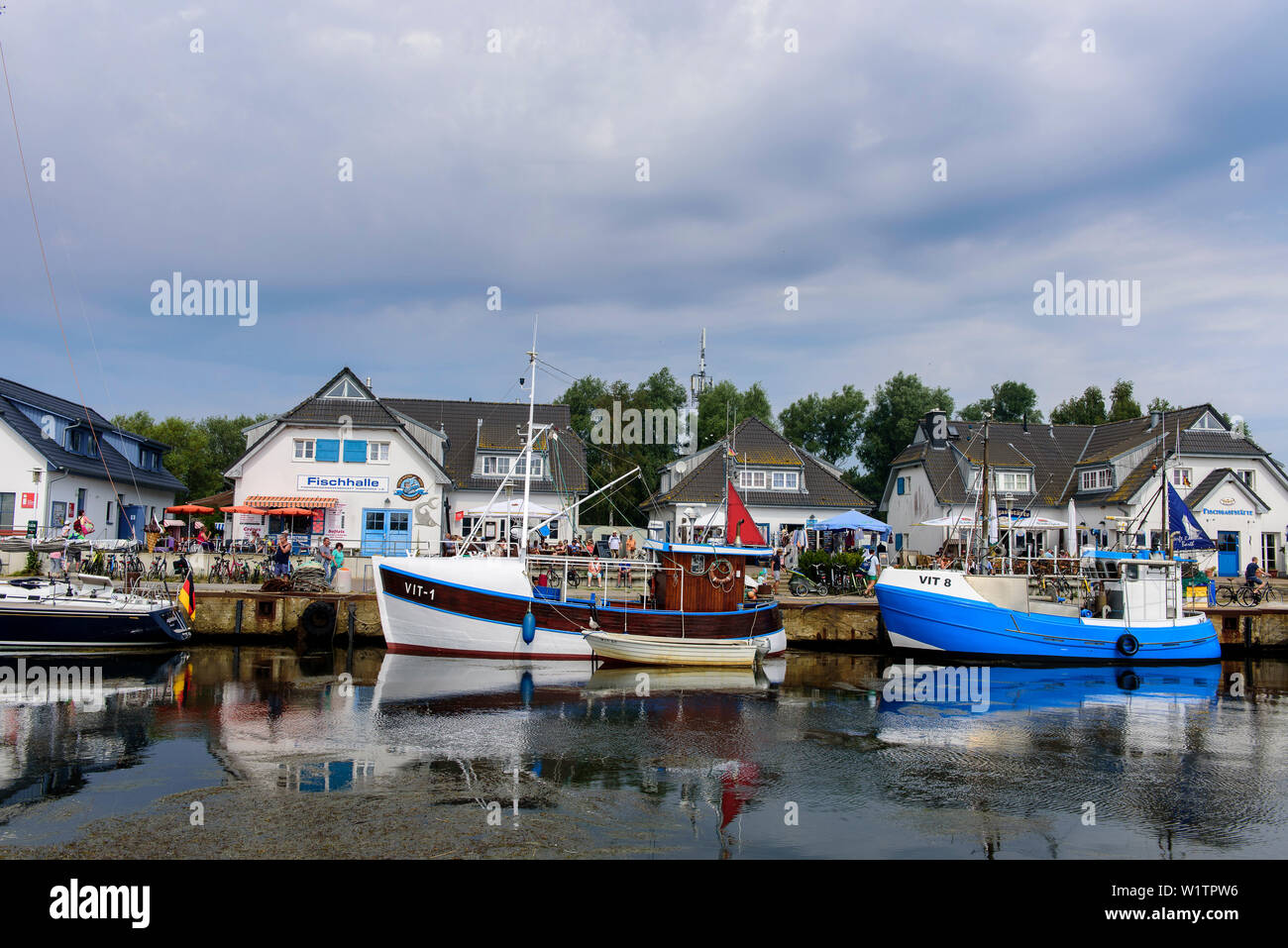 Drunk fish hi-res stock photography and images - Alamy