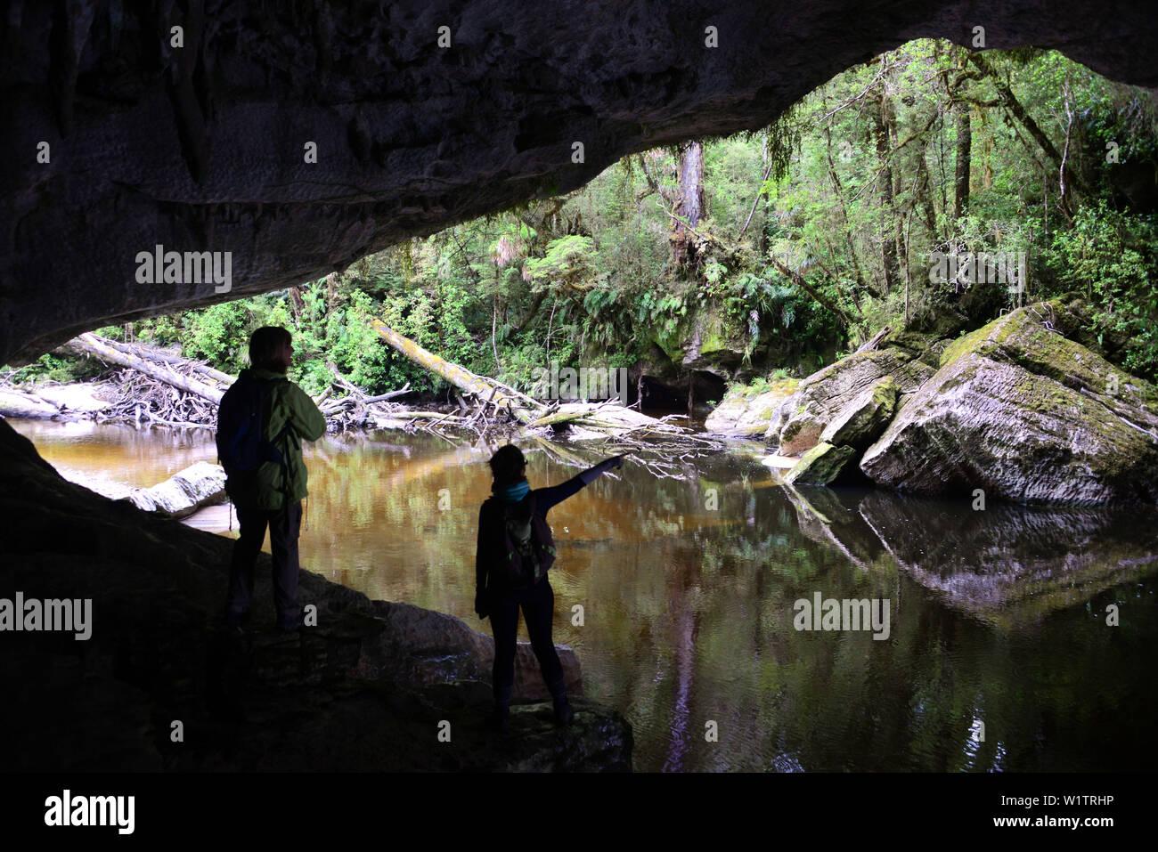 Moria Gate Arch in Oparara Basin near Karamea, Westcoast, South Island ...