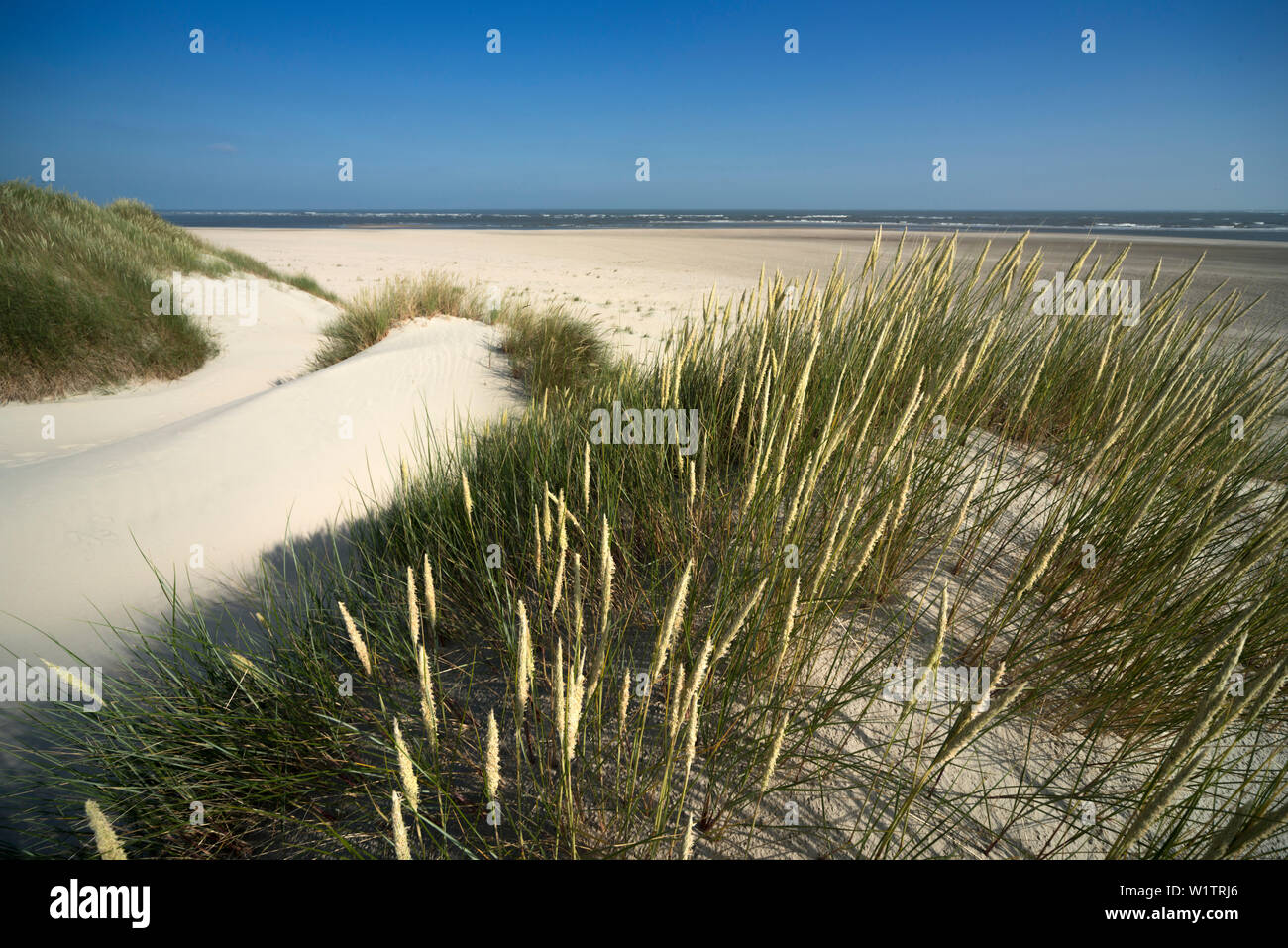 Sand Dune, Sky, Baltrum, North Sea, East Frisian Islands, East Frisia ...
