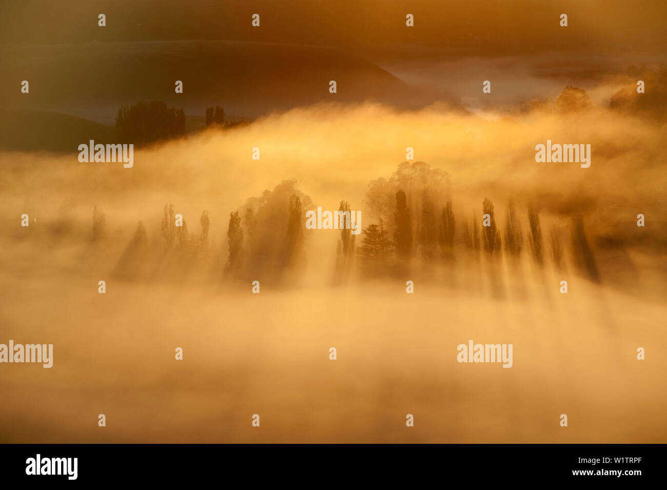 Sunrise at a farm near Buchan along the Barry Way Stock Photo - Alamy