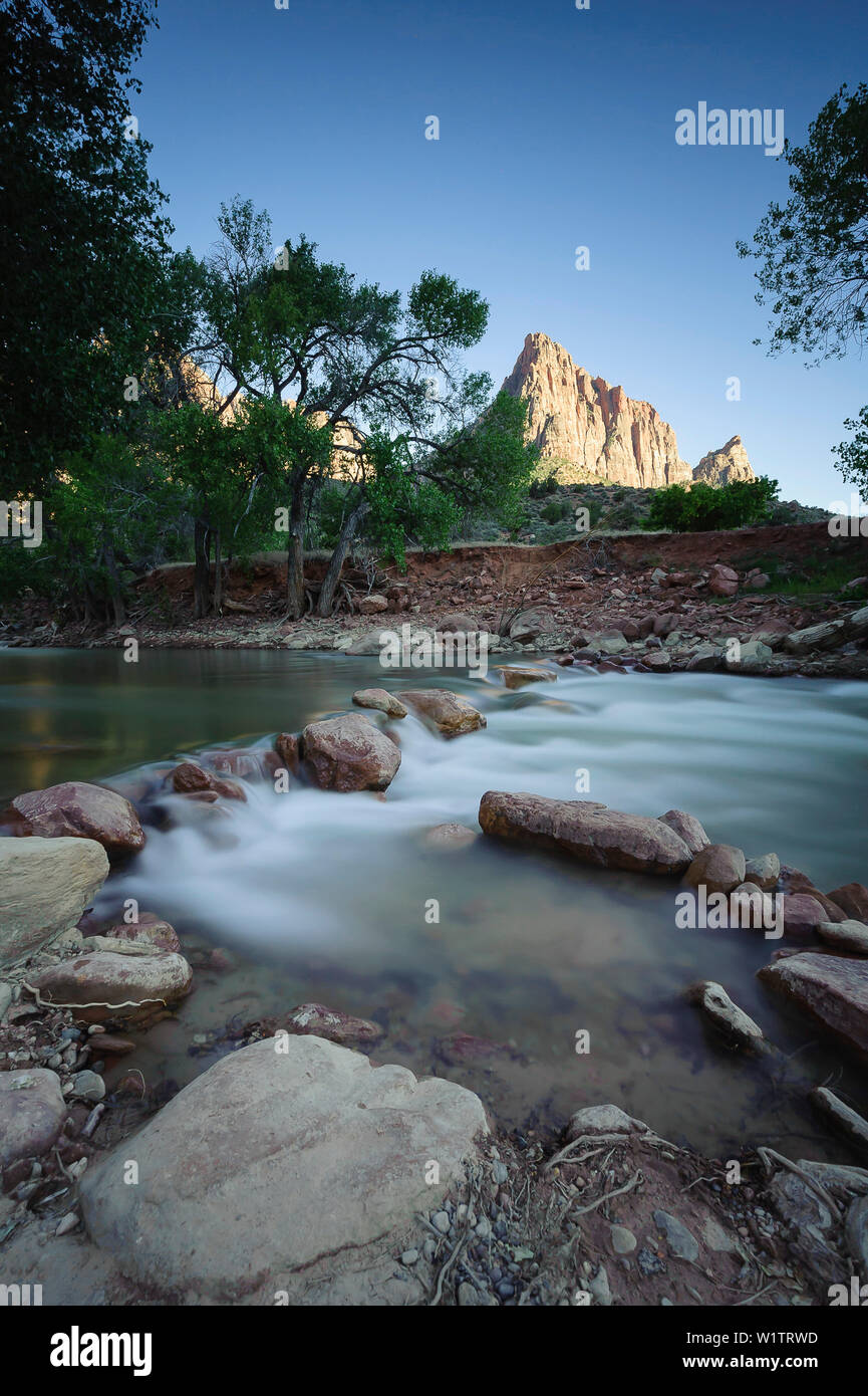 Virgin River and Mount Watchman, Zion Canyon, Utah, USA Stock Photo - Alamy