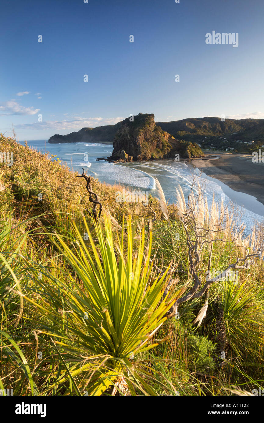 Piha, Waitakere Ranges Regional Park, Auckland, Tasman Sea, North ...