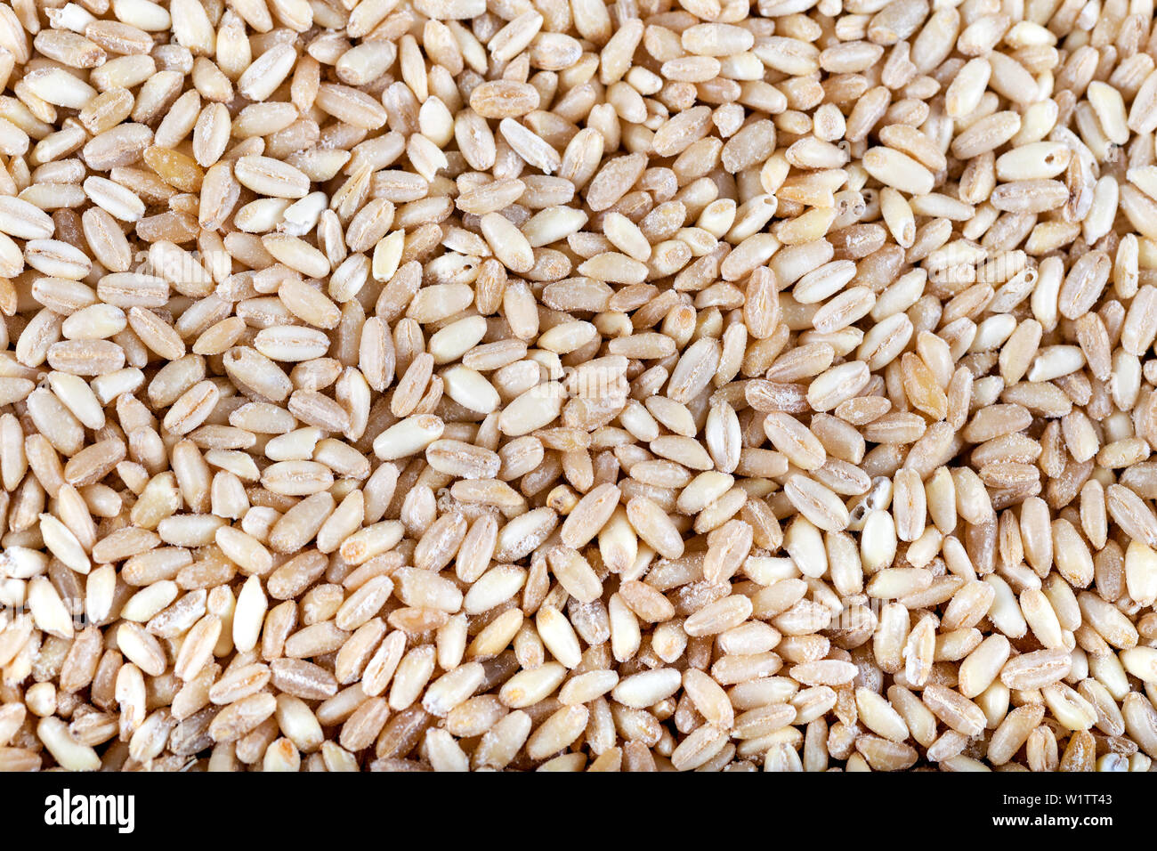 Wheat grains background hi-res stock photography and images - Alamy