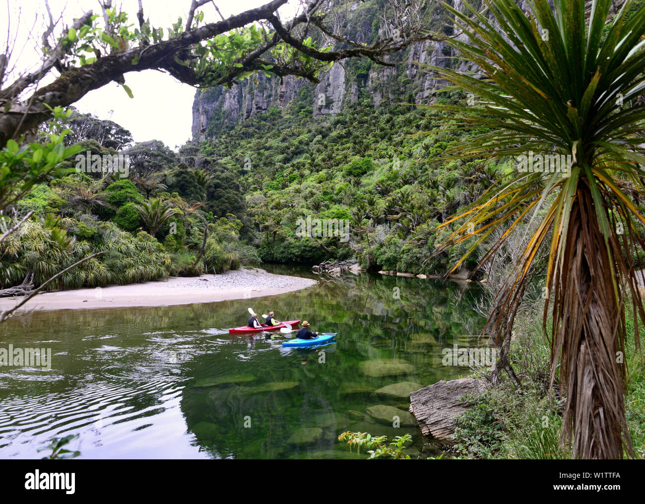 Punakaiki Canoes at Pororari River, Paparoa NationalPark, Westcoast ...