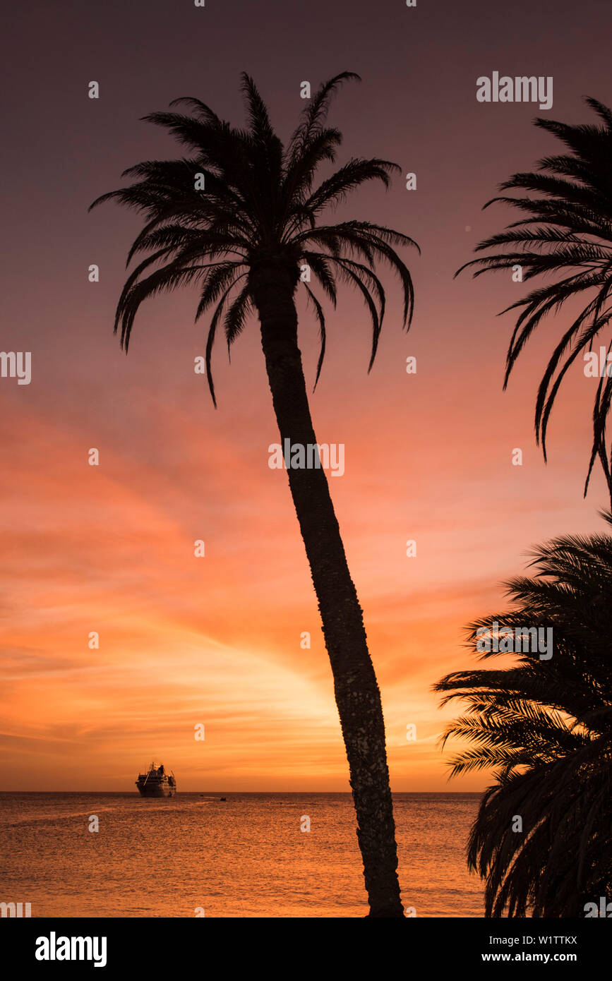 The cene hi-res stock photography and images - Alamy