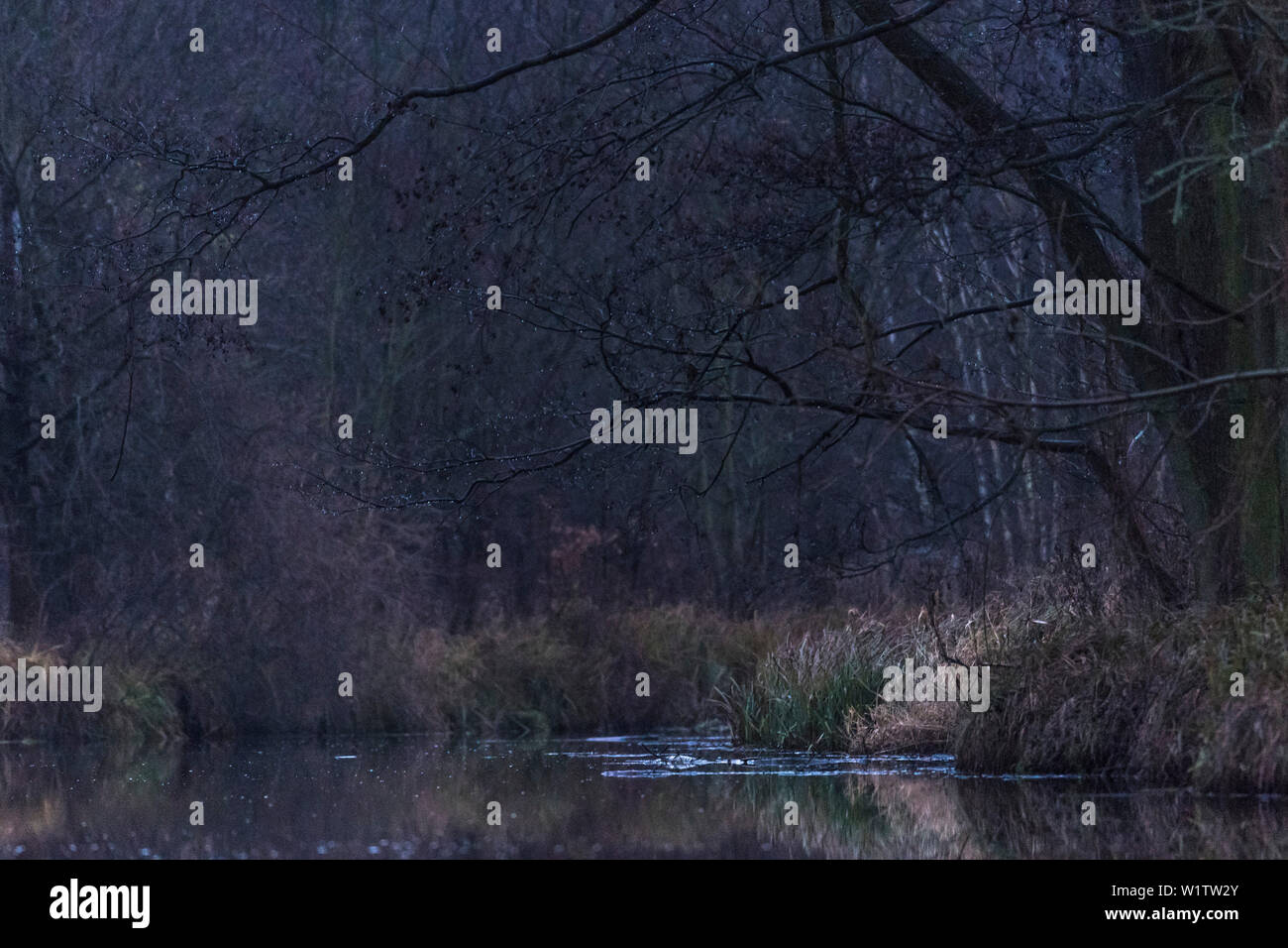 Spreewald Biosphere Reserve, Brandenburg, Germany, Kayaking, Recreation ...