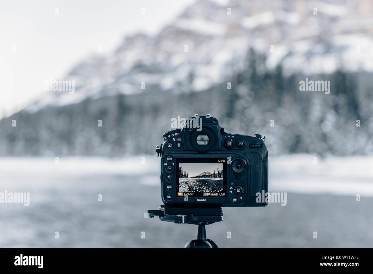 Riverside at Bow River, castle junction, Banff Town, Bow Valley, Banff ...