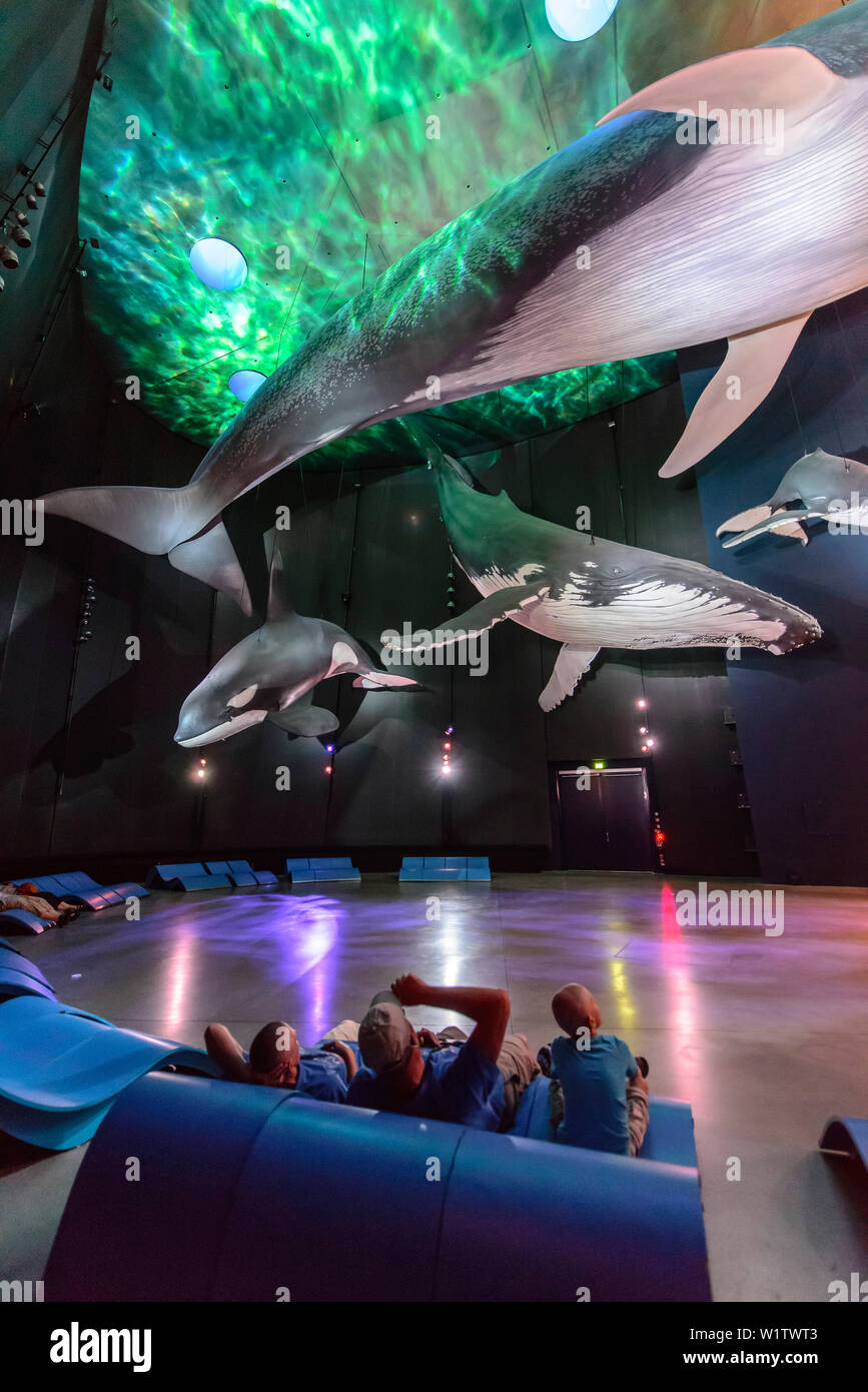 Ocean museum displays hi-res stock photography and images - Alamy