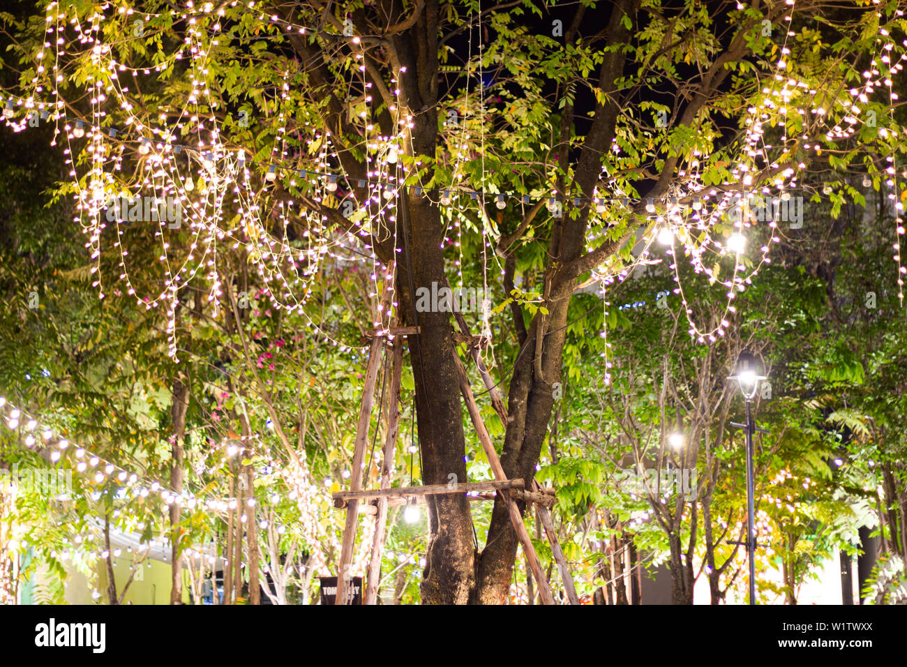 Decorative outdoor string lights hanging on tree in the garden at night ...