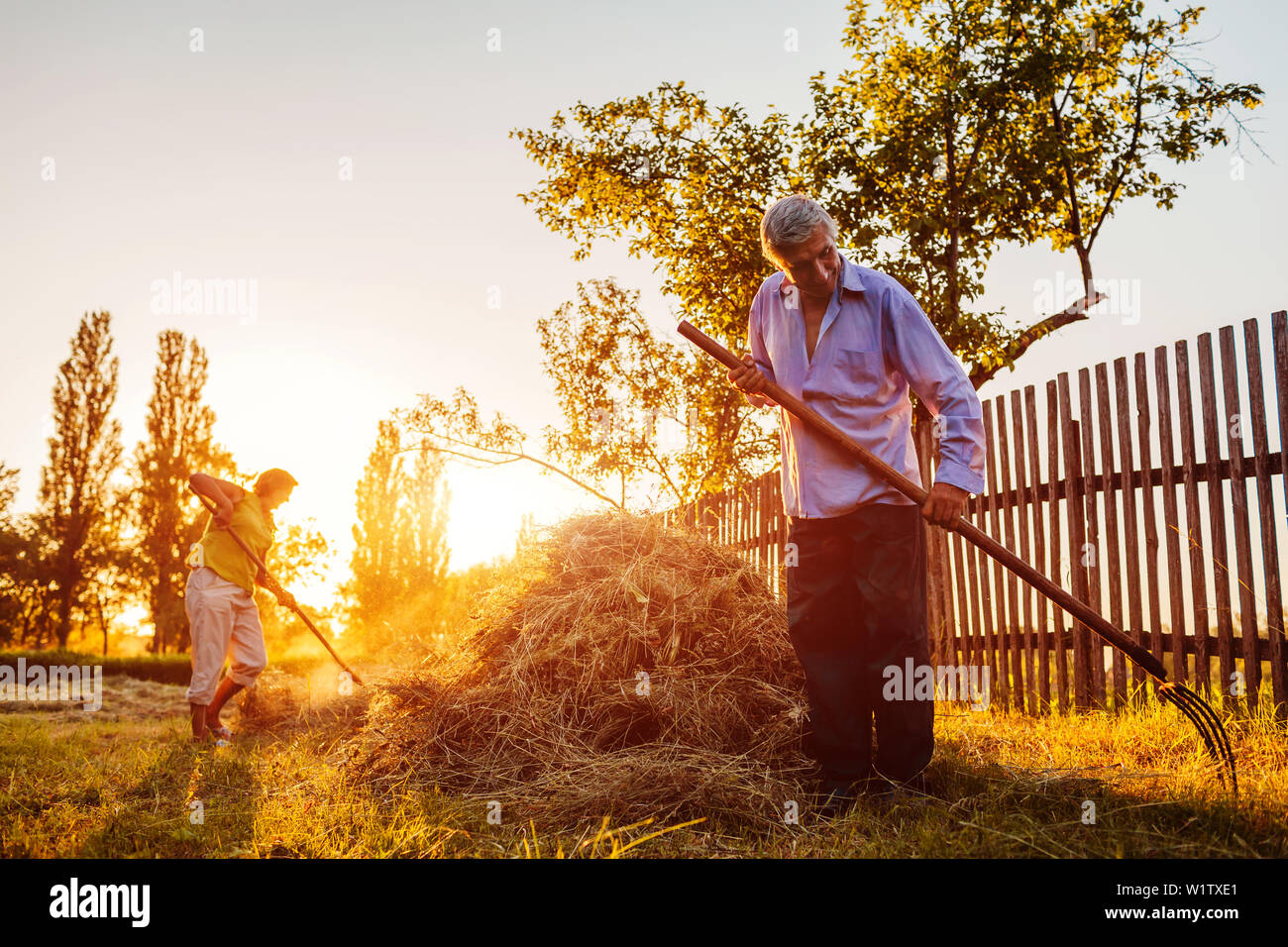 Couple roll in hay hi-res stock photography and images - Alamy