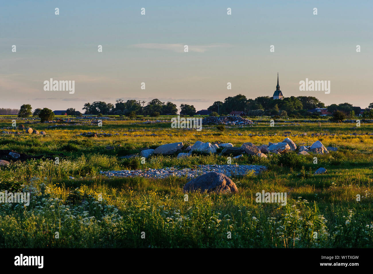 Landscape with stone walls of the Stora Alvar., Schweden Stock Photo ...