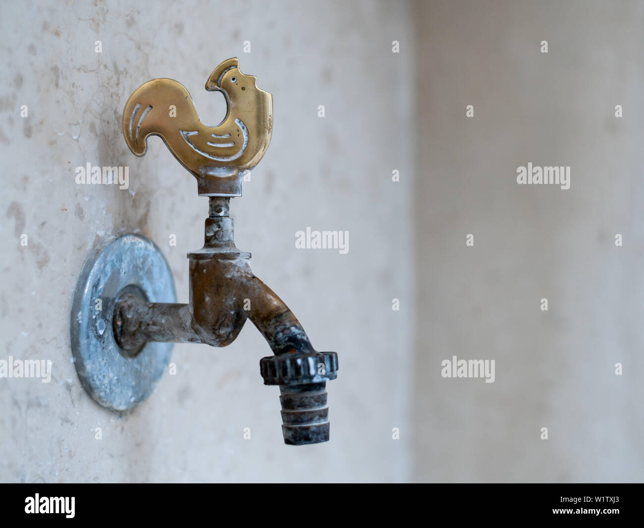 old faucet decorated by a beautiful golden bird Stock Photo - Alamy