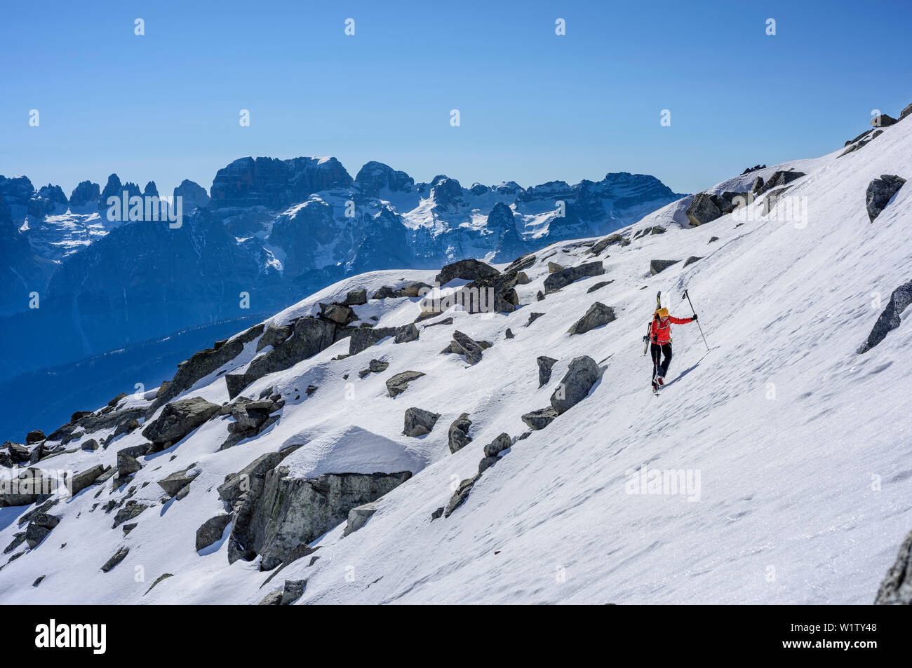 Presanella hi-res stock photography and images - Alamy