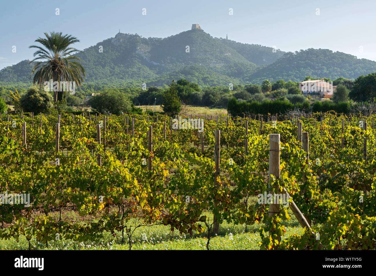 Felanitx majorca hi-res stock photography and images - Alamy