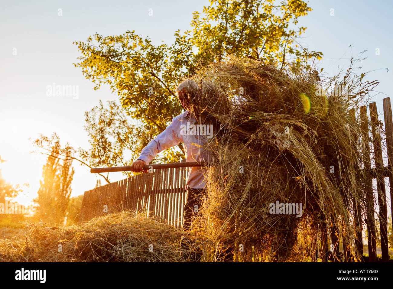 Retired pile of hay hi-res stock photography and images - Alamy