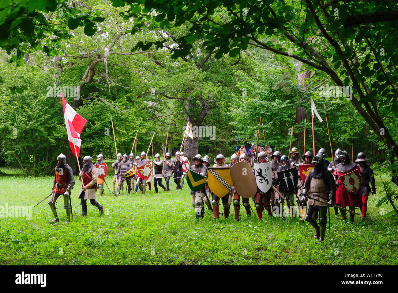 Medieval party battle show in front of Visby, Schweden Stock Photo - Alamy