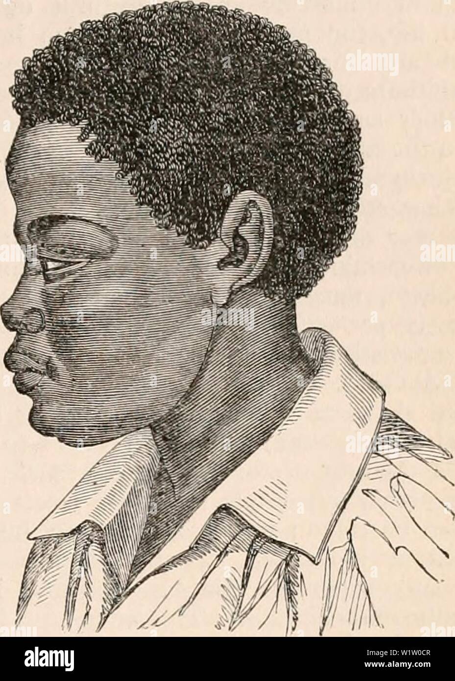 Prognathous hi-res stock photography and images - Alamy