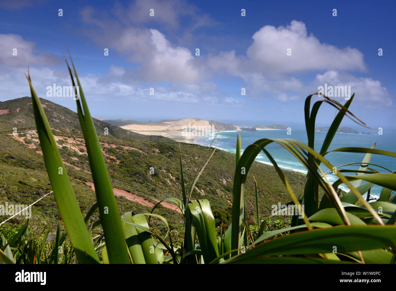 Sandy bay cape reinga new hi-res stock photography and images - Alamy