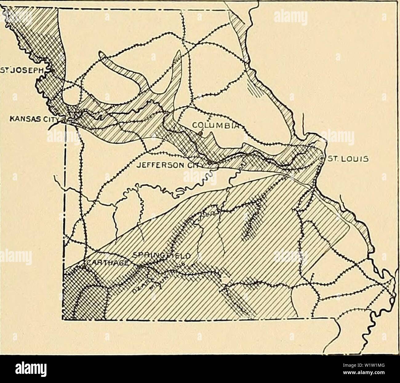 Archive image from page 548 of Cyclopedia of American horticulture ...