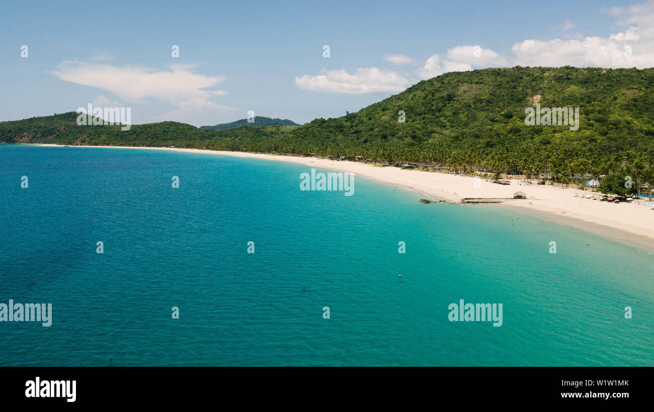 Aerial view of Nacpan Beach, tropical beach in El Nido with palm trees ...