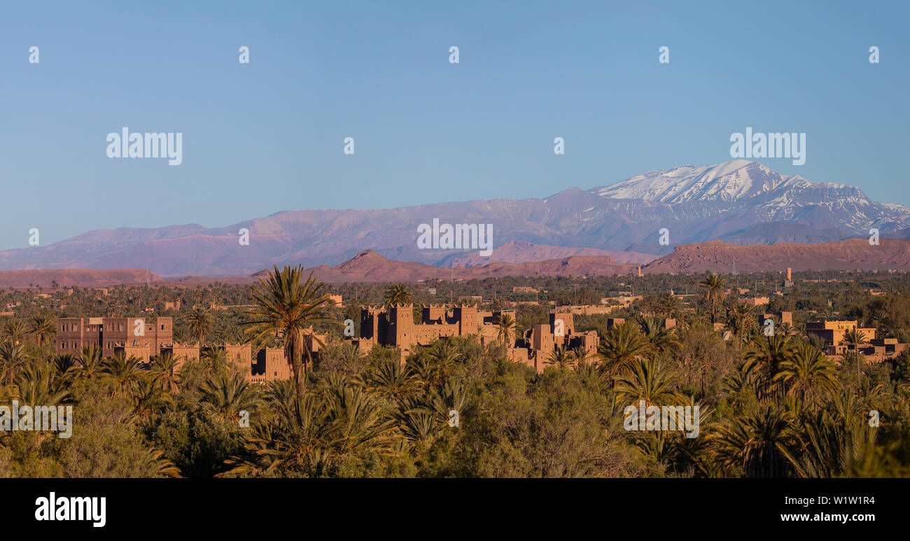 Oasis of Skoura, Morocco, Africa Stock Photo - Alamy