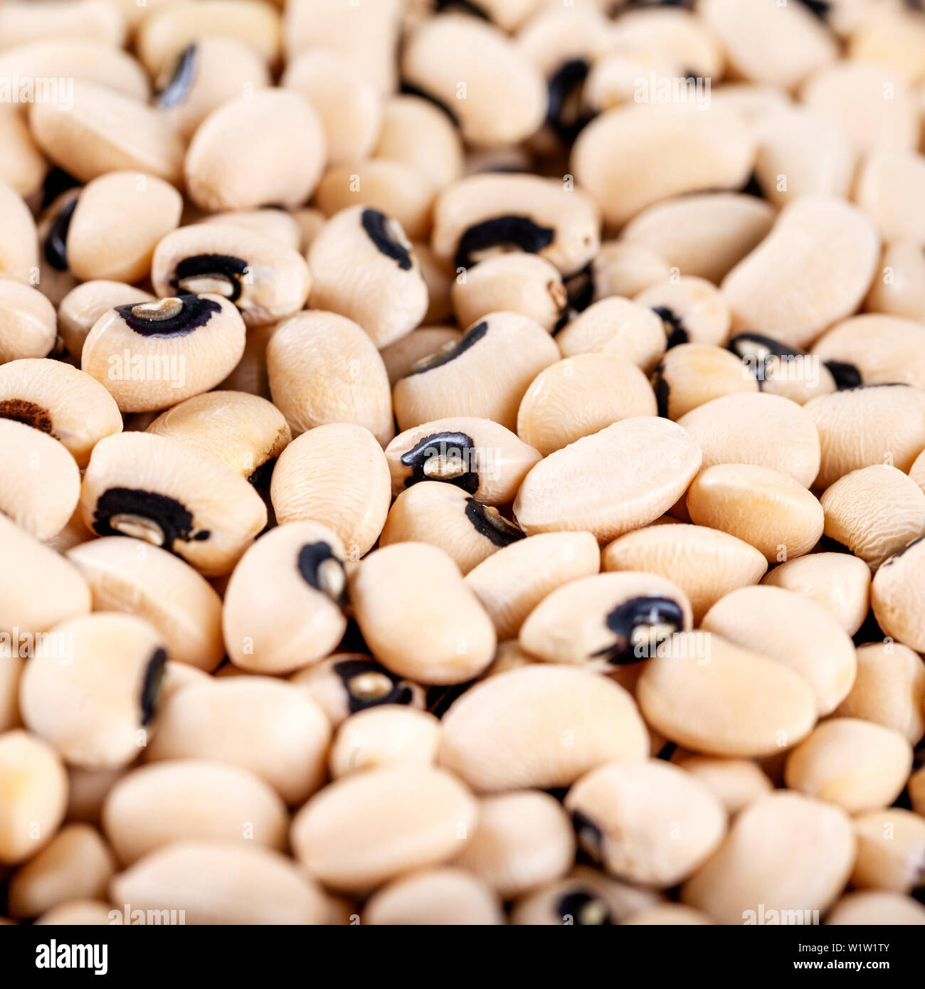 White kidney beans, background Stock Photo - Alamy