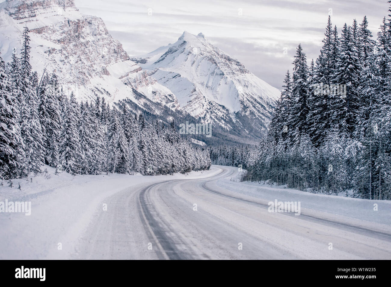 Icefields Parkway, Banff National Park, Jasper National Park, Alberta ...