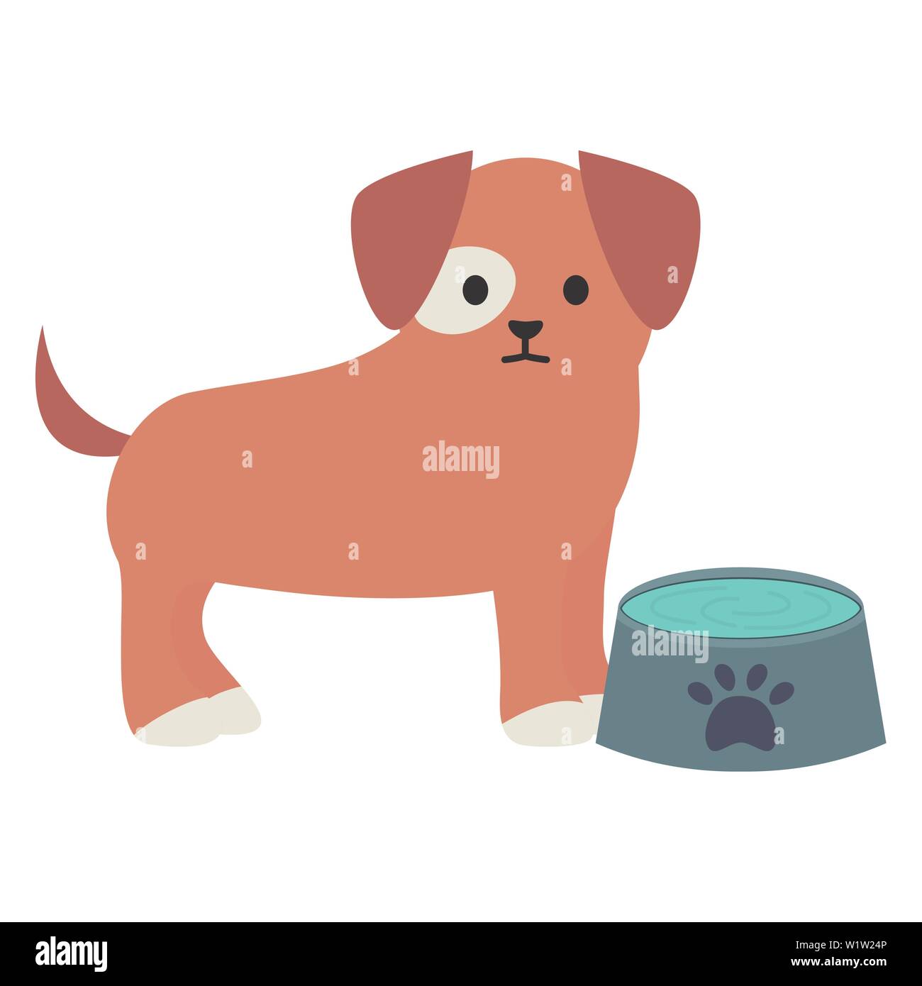 little dog adorable with dish water vector illustration design Stock ...