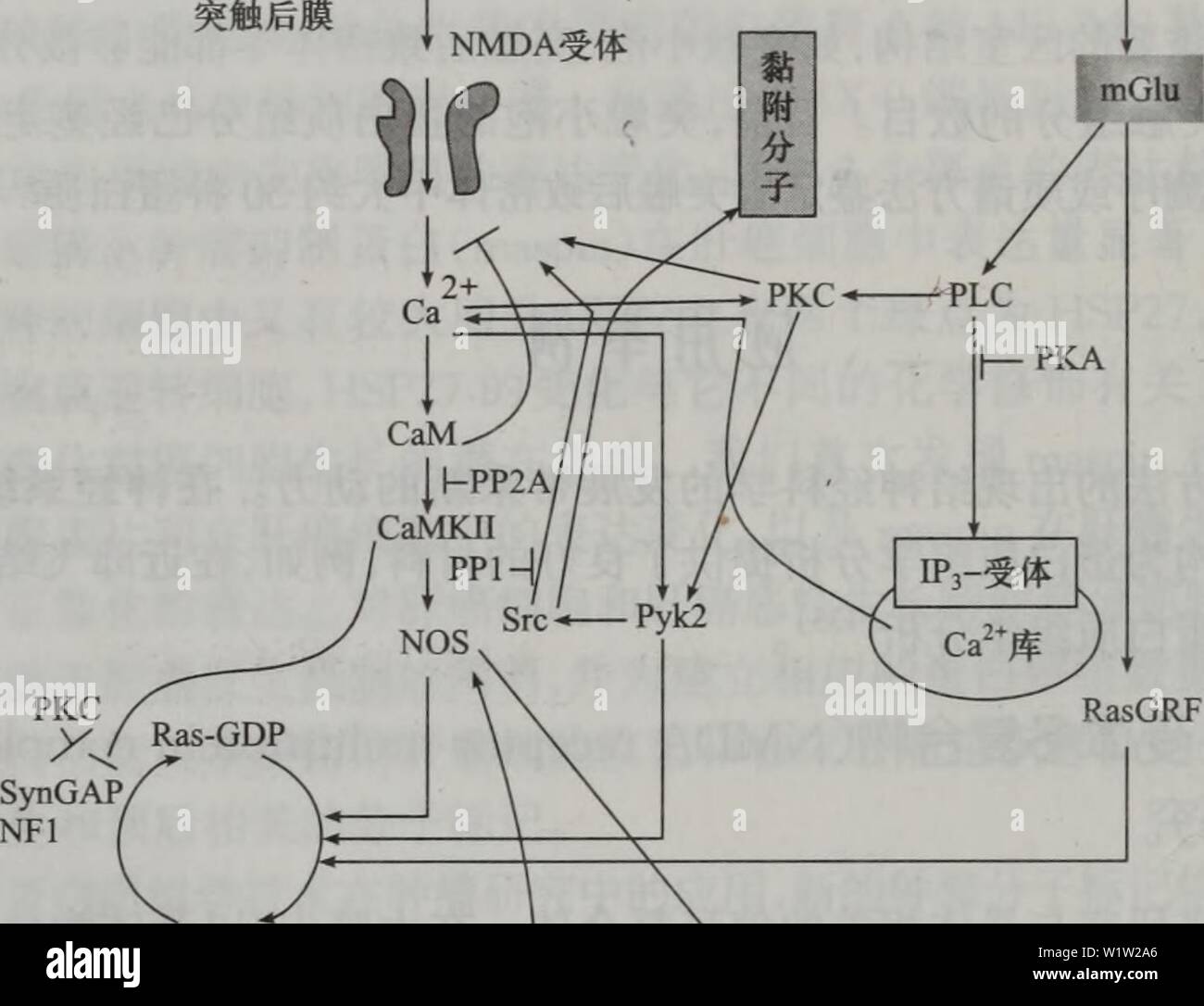 Archive image from page 551 of dan bai zhi hua xue. dan bai zhi hua xue ...
