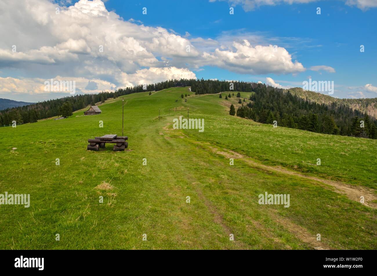Beautiful spring mountain landscape. Green clearing on a mountain trail ...