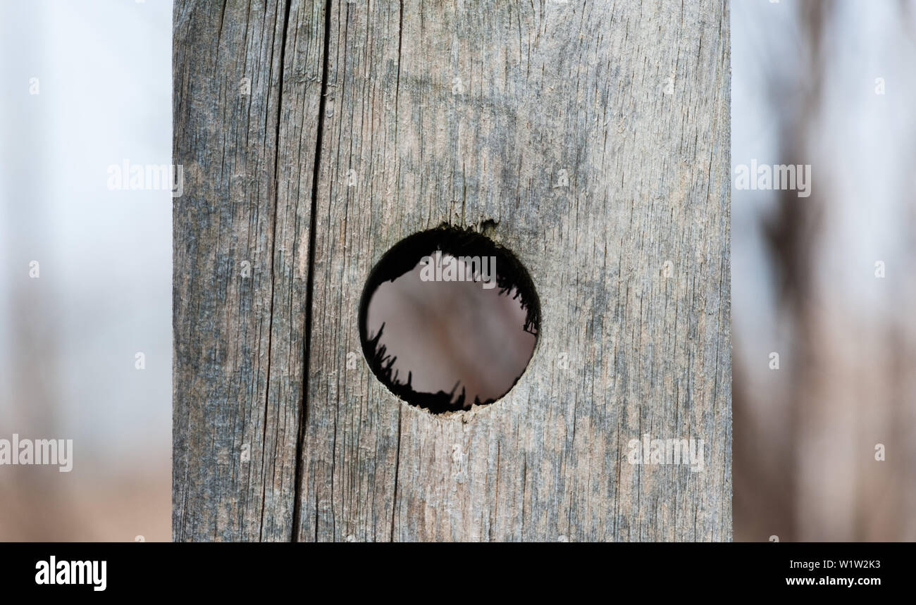 Wood splinter hi-res stock photography and images - Alamy