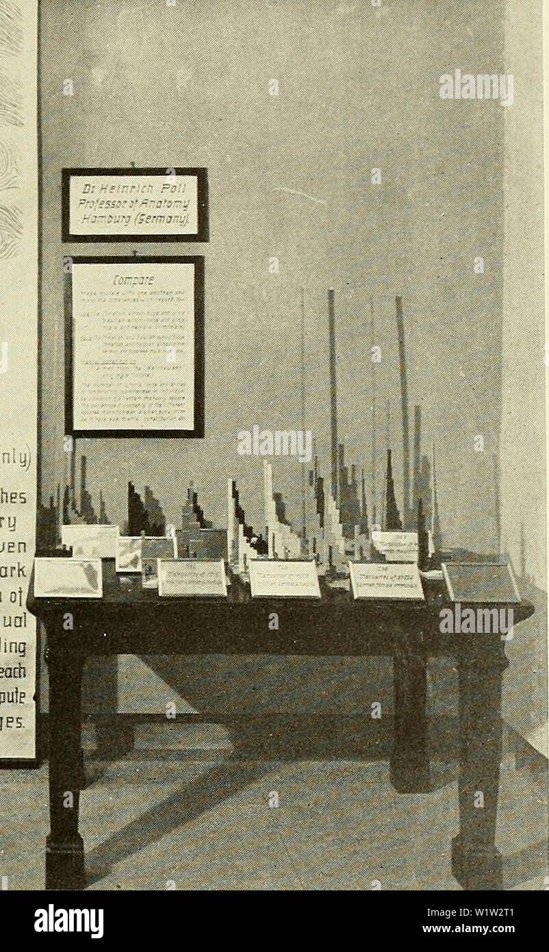 Eugenics illustration hi-res stock photography and images - Alamy