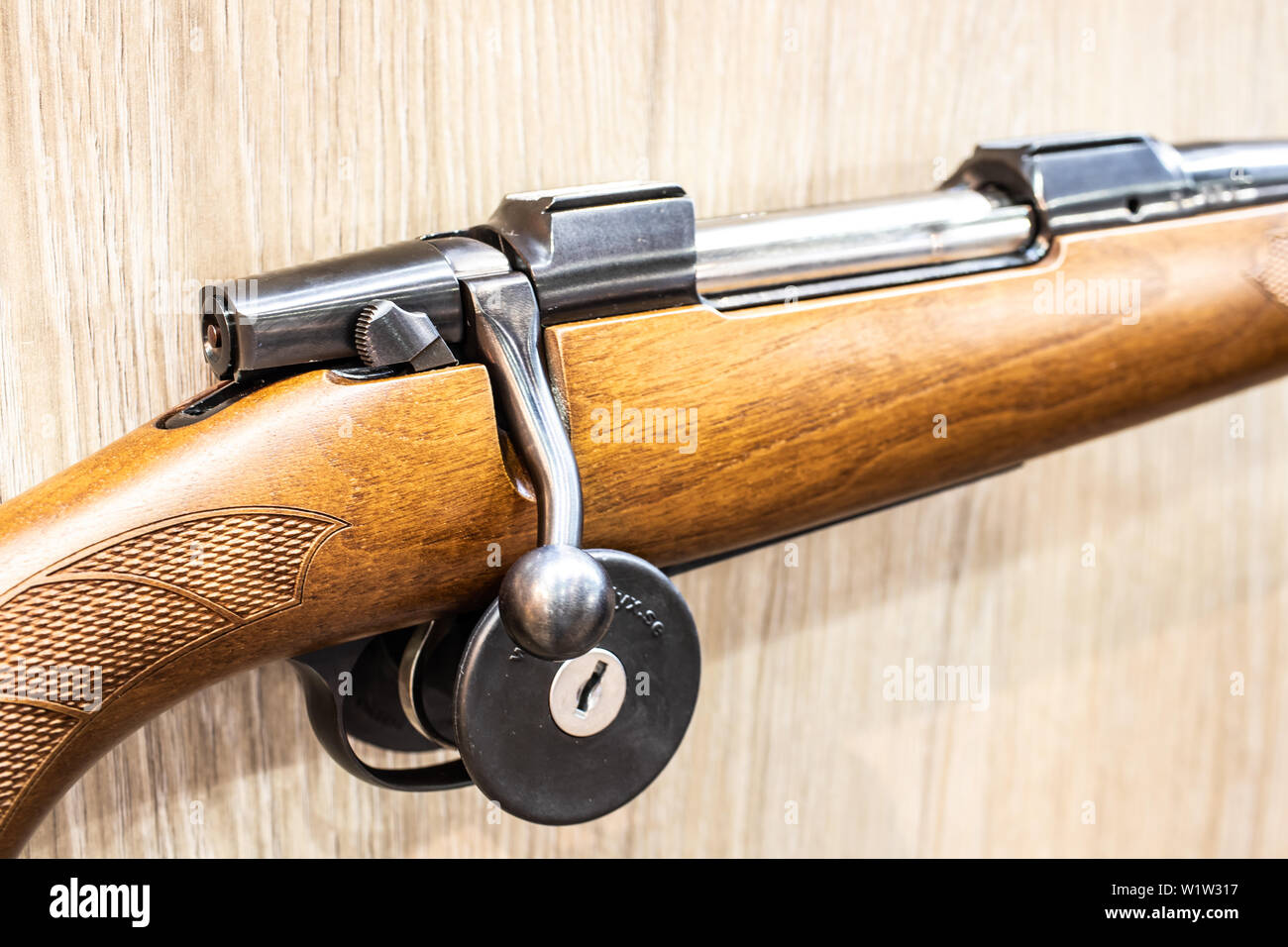 Poznan, Poland, Feb 2019 firearm CZ Ceska Zbrojovka CZUB, semi ...