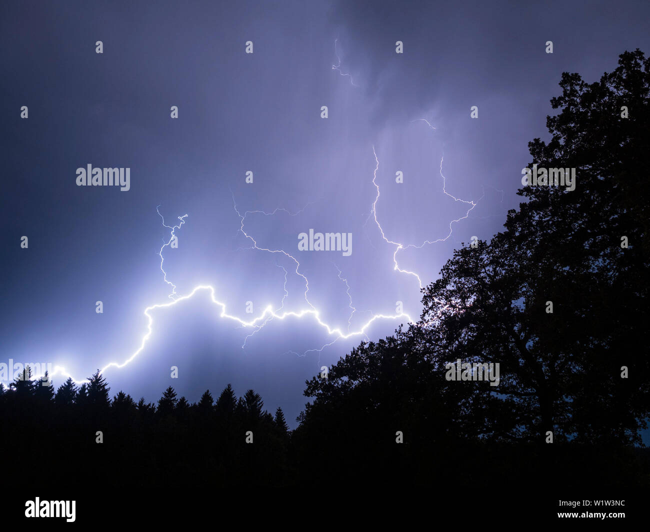 Lightning over forest hi-res stock photography and images - Alamy