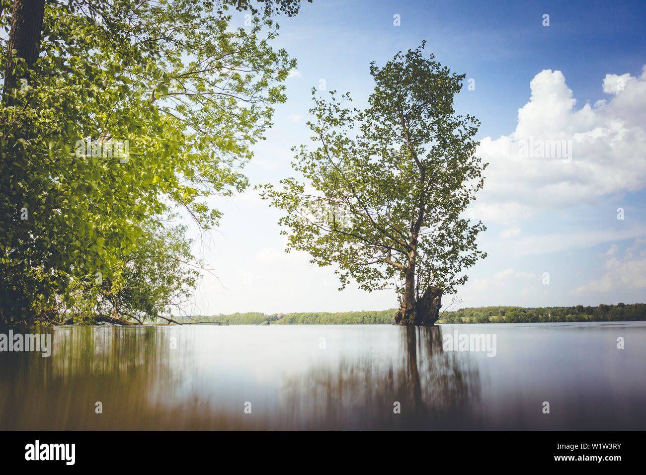 Frog perspective shot from hi-res stock photography and images - Alamy