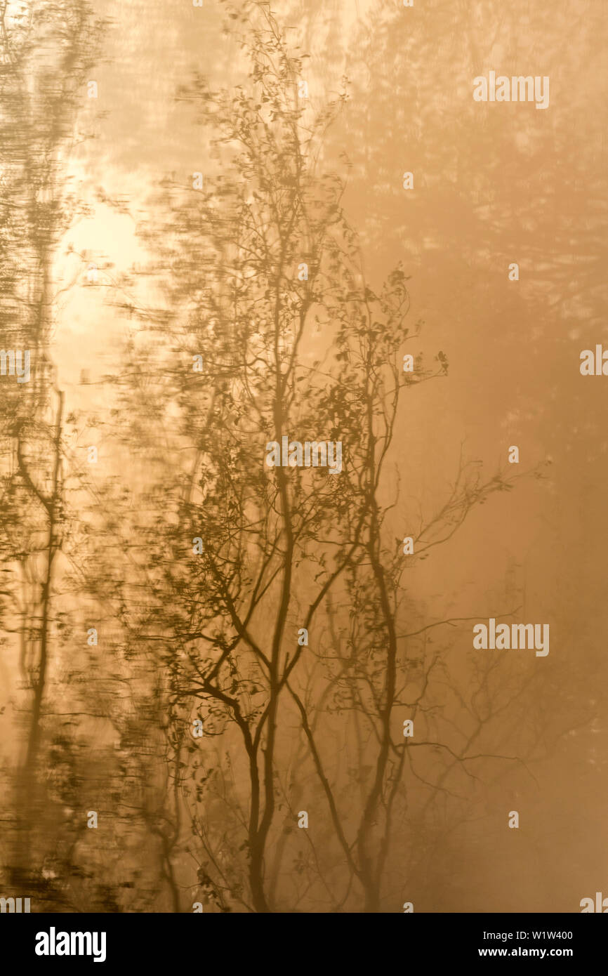 Reflection rising sun in water hi-res stock photography and images - Alamy