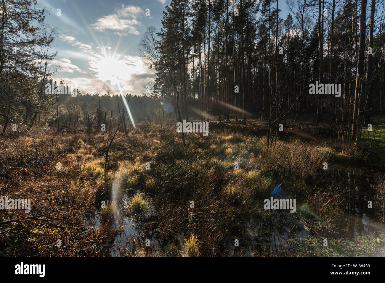 Spreewald Biosphere Reserve, Brandenburg, Germany, Kayaking, Recreation ...