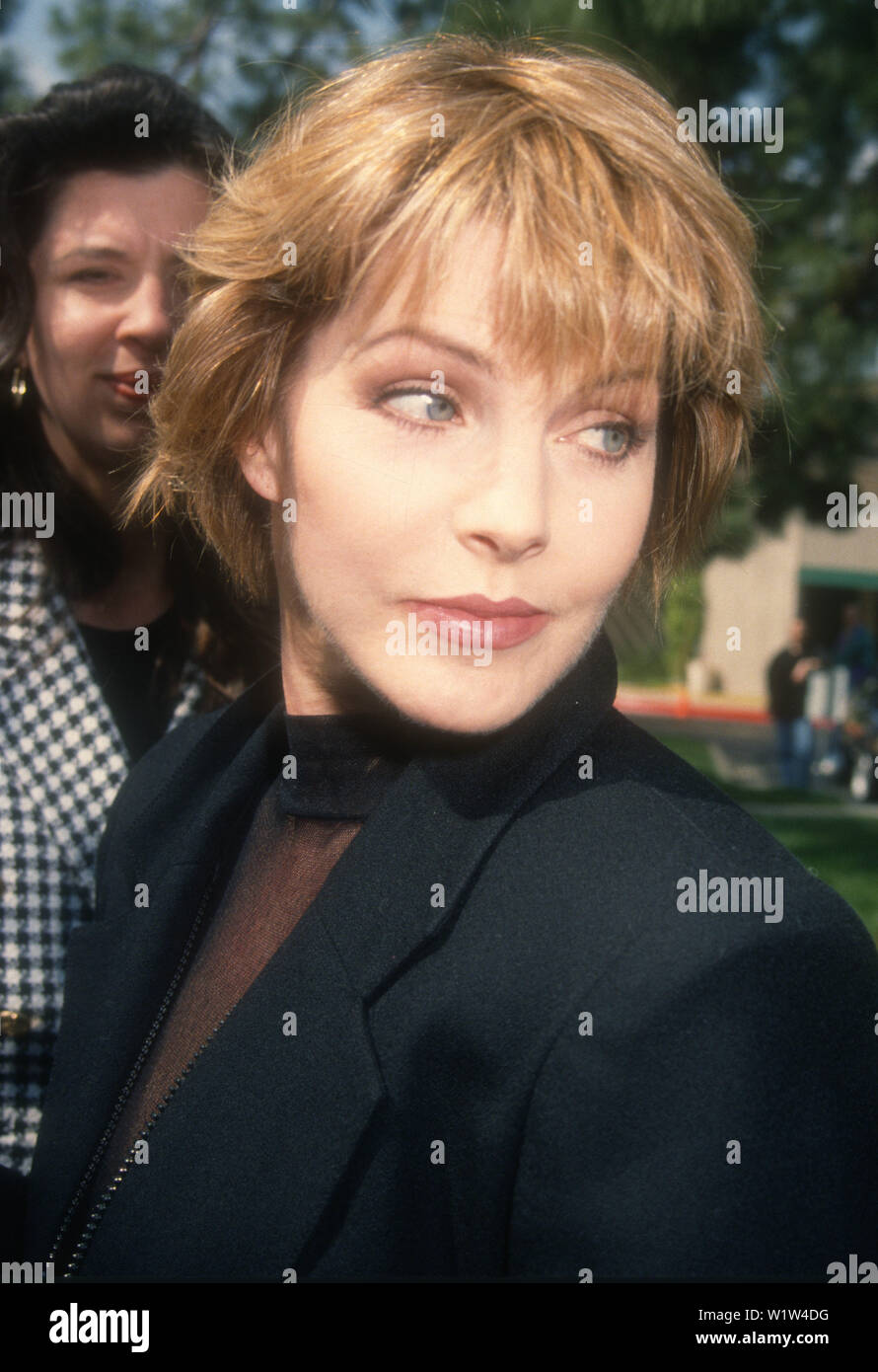 Priscilla Presley 1993 Photo By Michael Ferguson/PHOTOlink. Photo via ...
