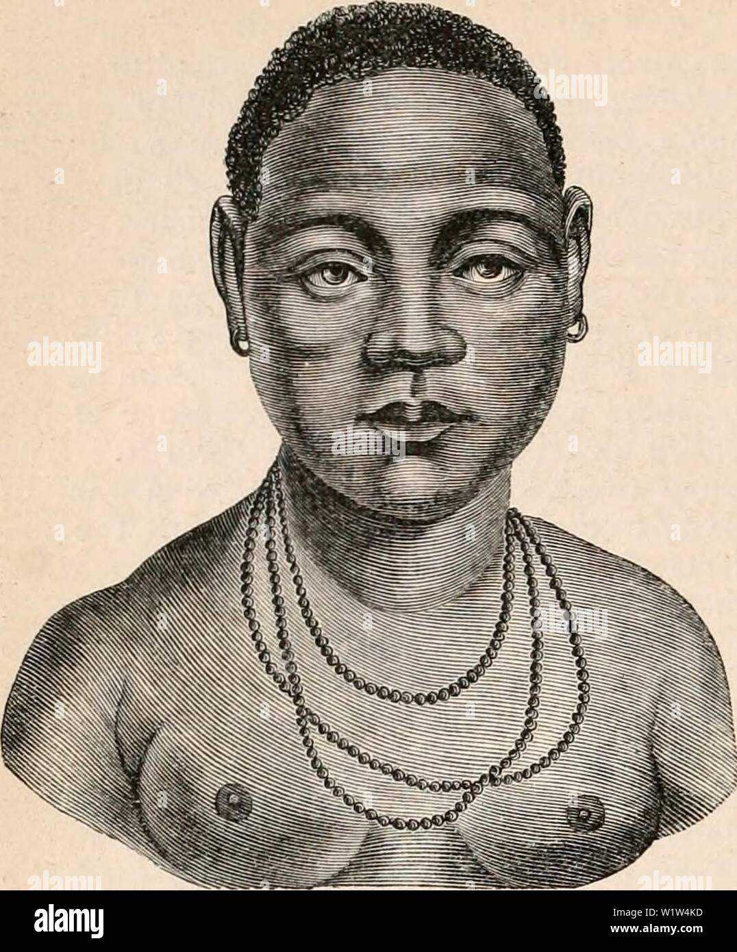 Prognathous hi-res stock photography and images - Alamy