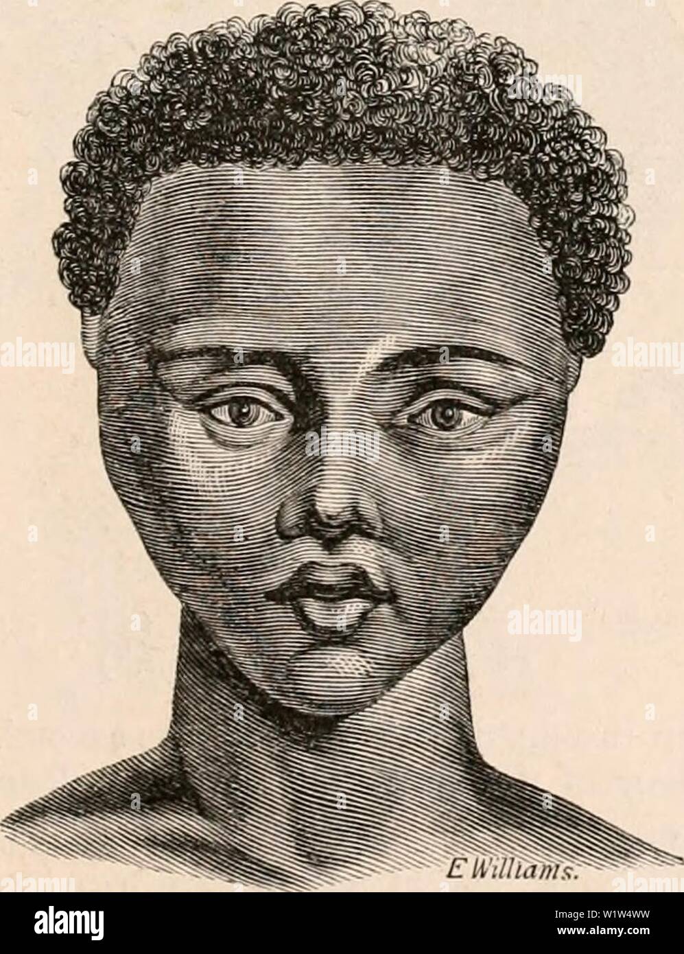 Negroland hi-res stock photography and images - Alamy