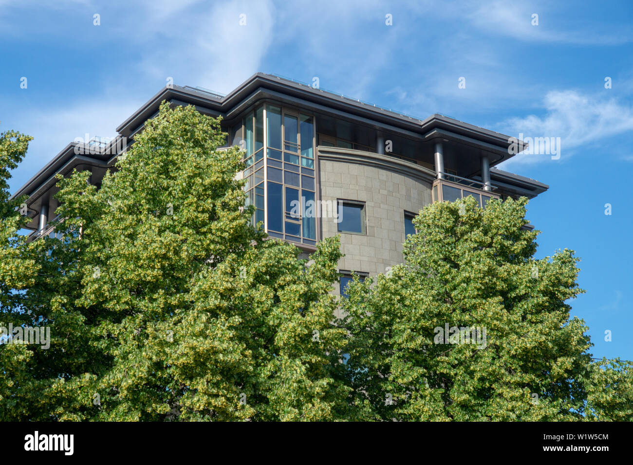 Tall trees by window hi-res stock photography and images - Alamy