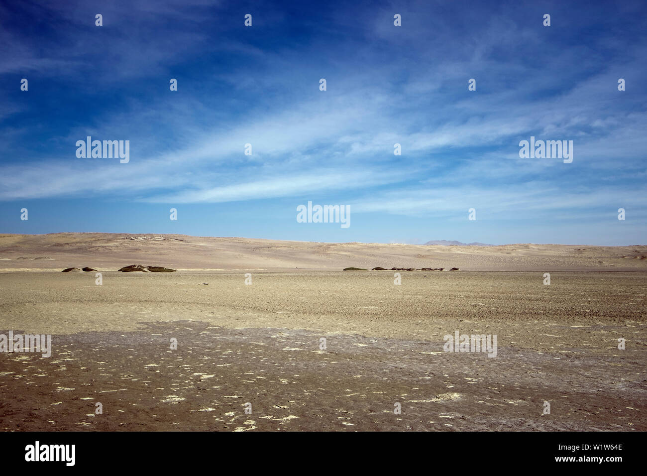 Paracas city hi-res stock photography and images - Alamy