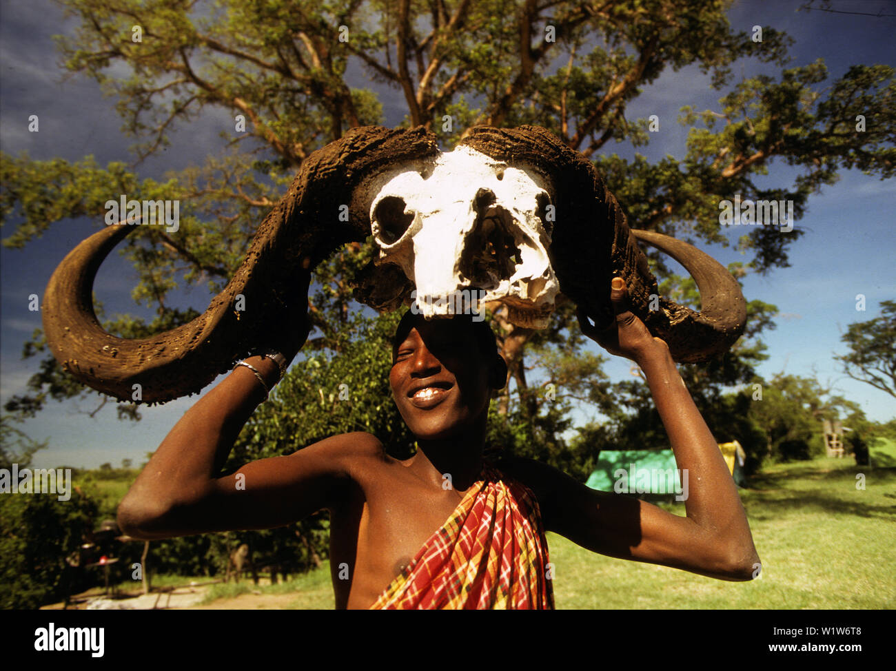 Young masai tribesmen with a buffalo skull, Masai Mara Game Reserve ...