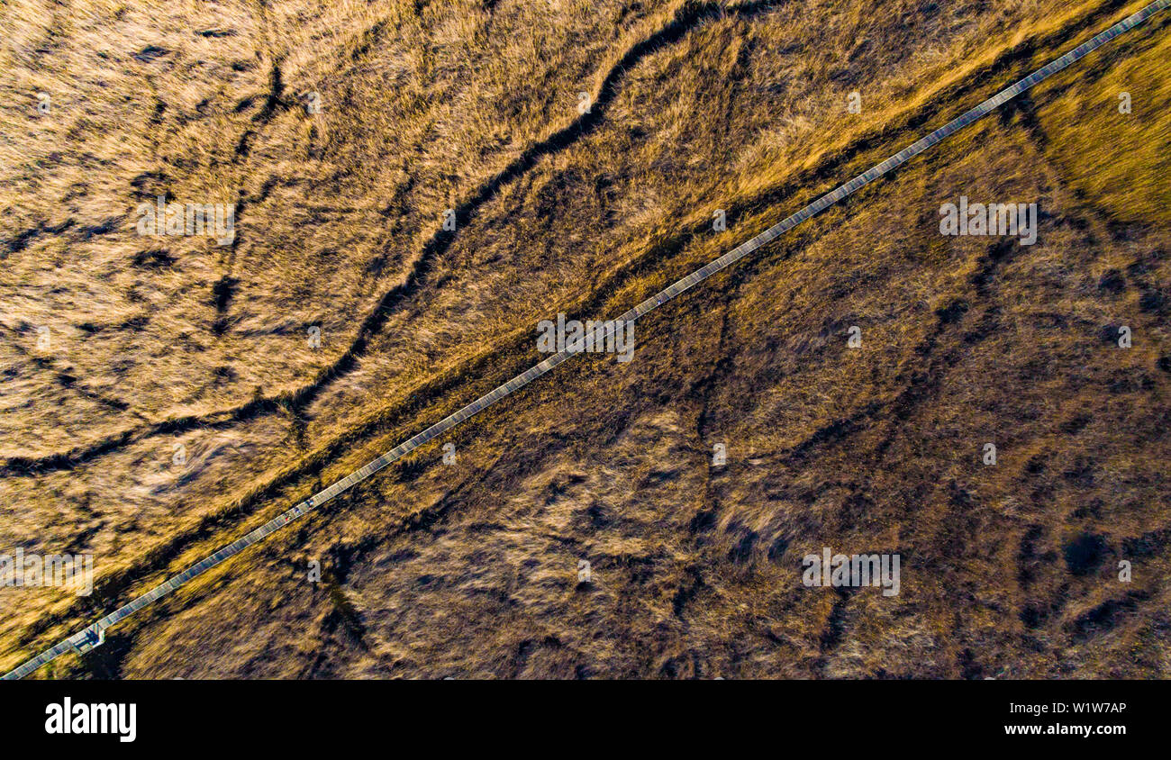 Marshes and Reeds wetland from top view aerial drone photo shoot. This ...