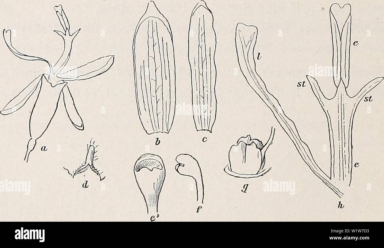 Baining hi-res stock photography and images - Alamy