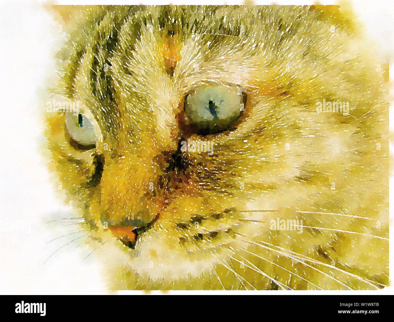 Pet artwork Cut Out Stock Images & Pictures - Alamy