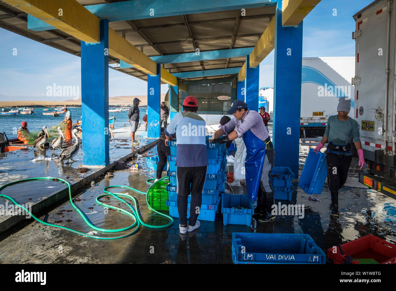 Paracas city on pacific hi-res stock photography and images - Alamy